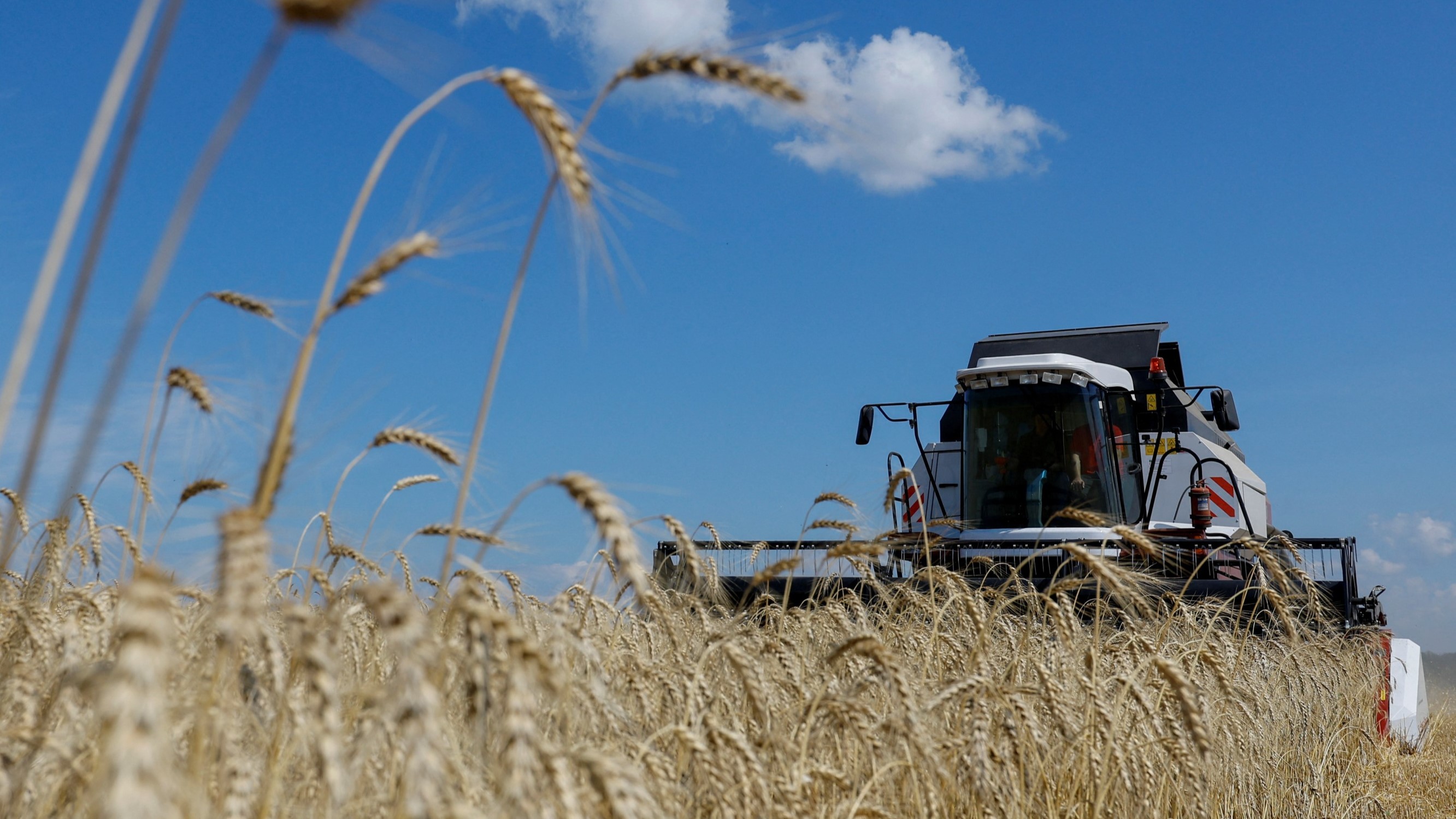 Ankara agrees 'on principle' to process 1mn tons of grain for Africa ...